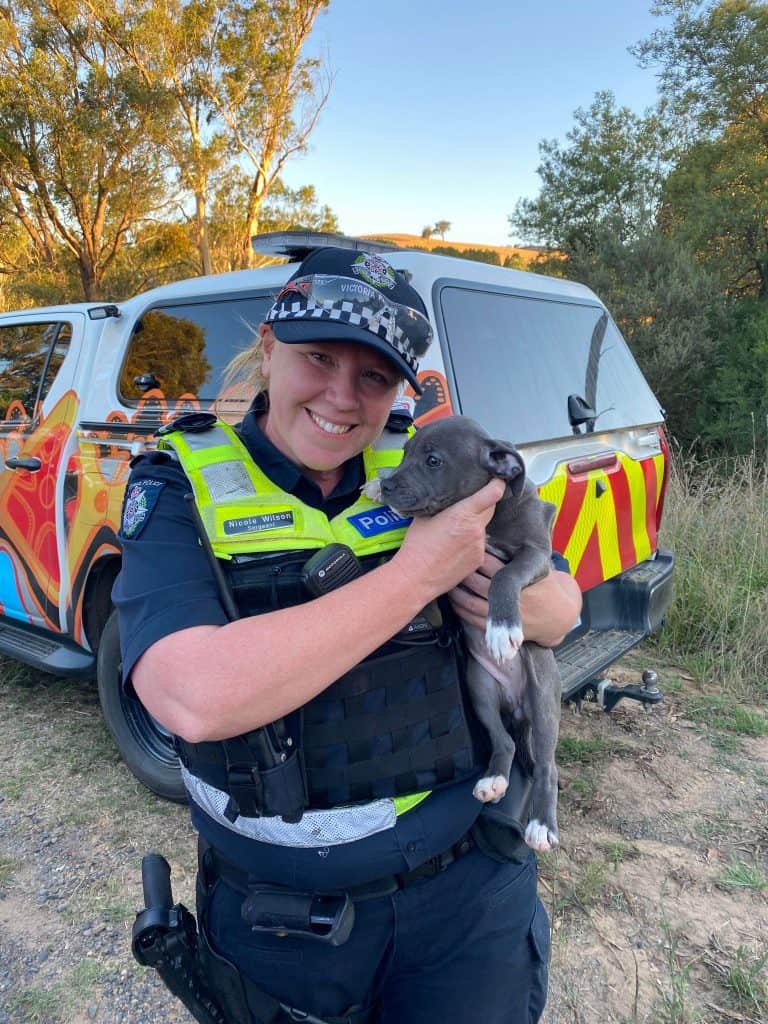 A lucky escape on Devlin's Bridge - Alexandra Newspapers