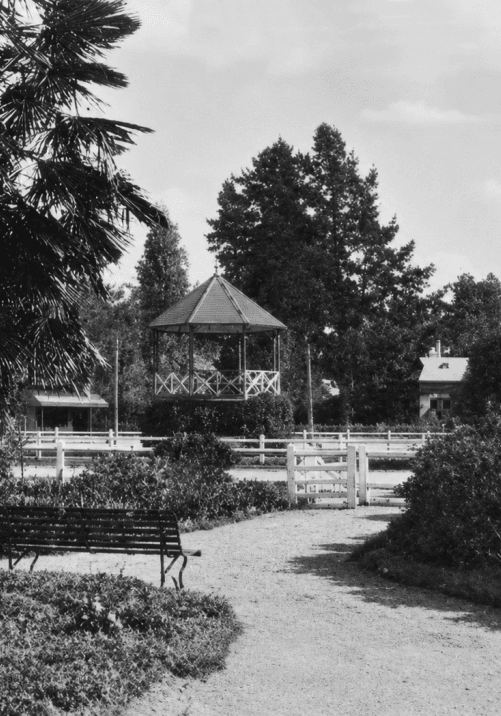 Local News & Community Archives - Alexandra Newspapers