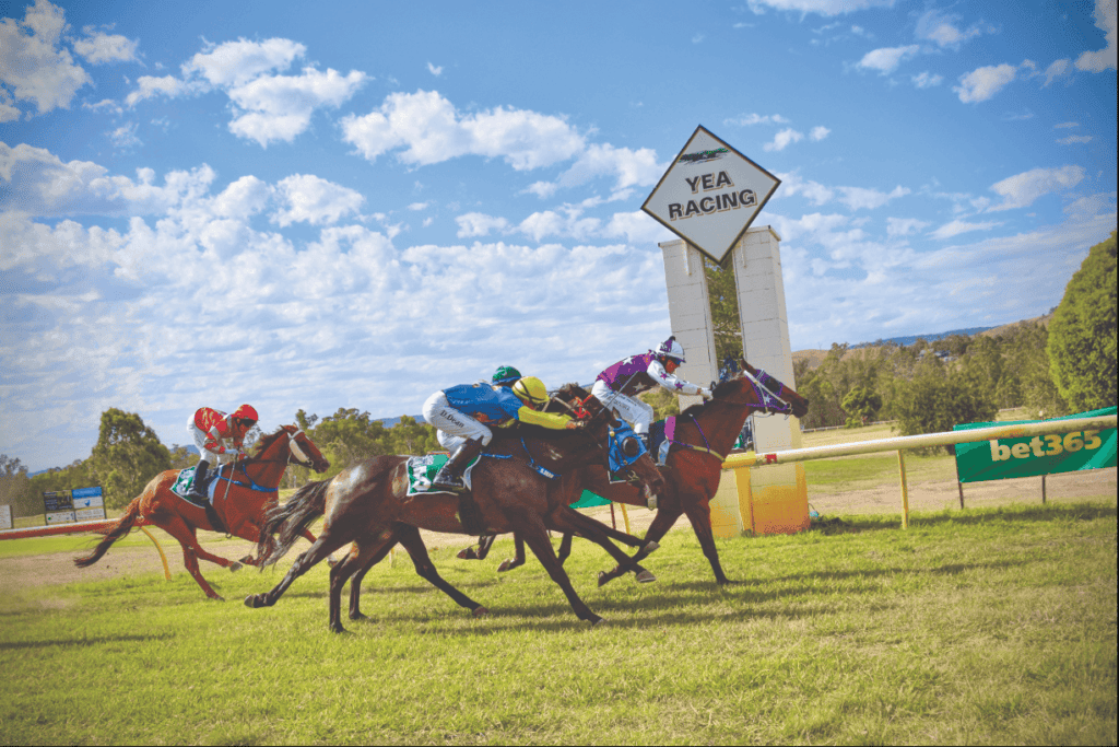 Alexandra Football Netball Club celebrates 140 years - Alexandra Newspapers